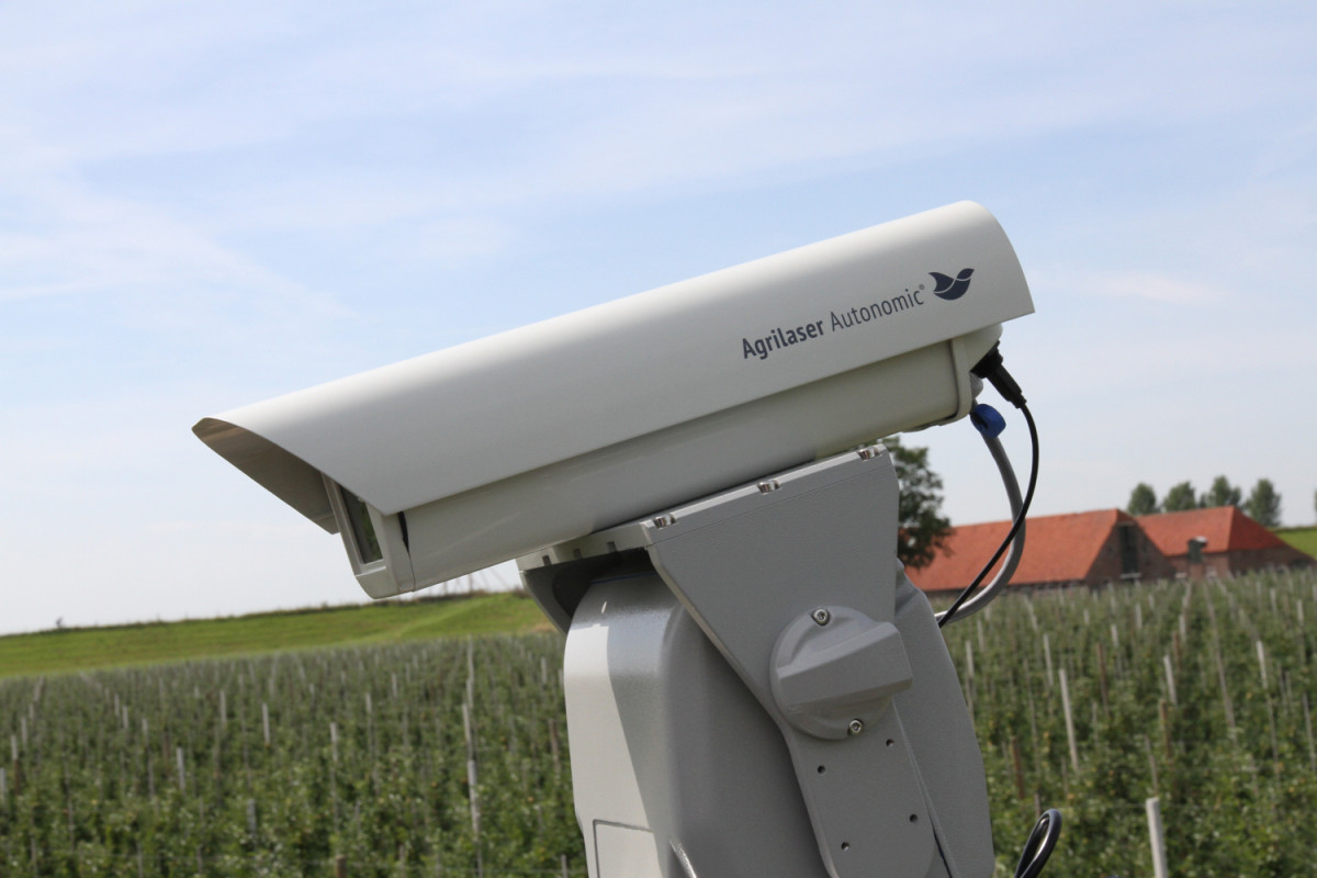 Do Lasers Deter Birds? An NBC Environment Article