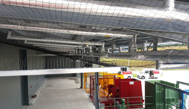 Do birds get caught in netting? - NBC Environment