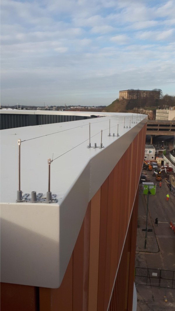 How does bird deterrent wire work? - NBC Environment