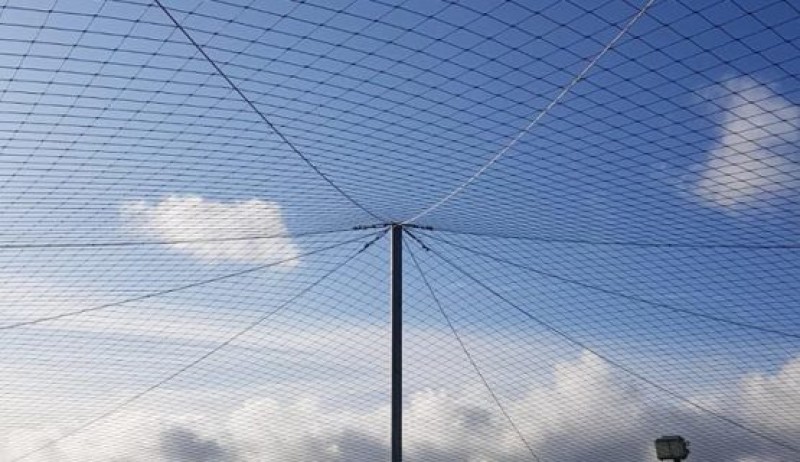 What are the best bird proofing solutions? - NBC Environment