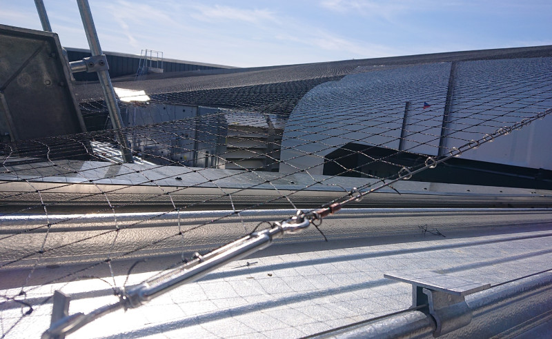 How much does bird netting installation cost? - NBC Environment