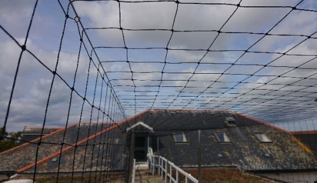 What types of bird netting are there? - NBC Environment